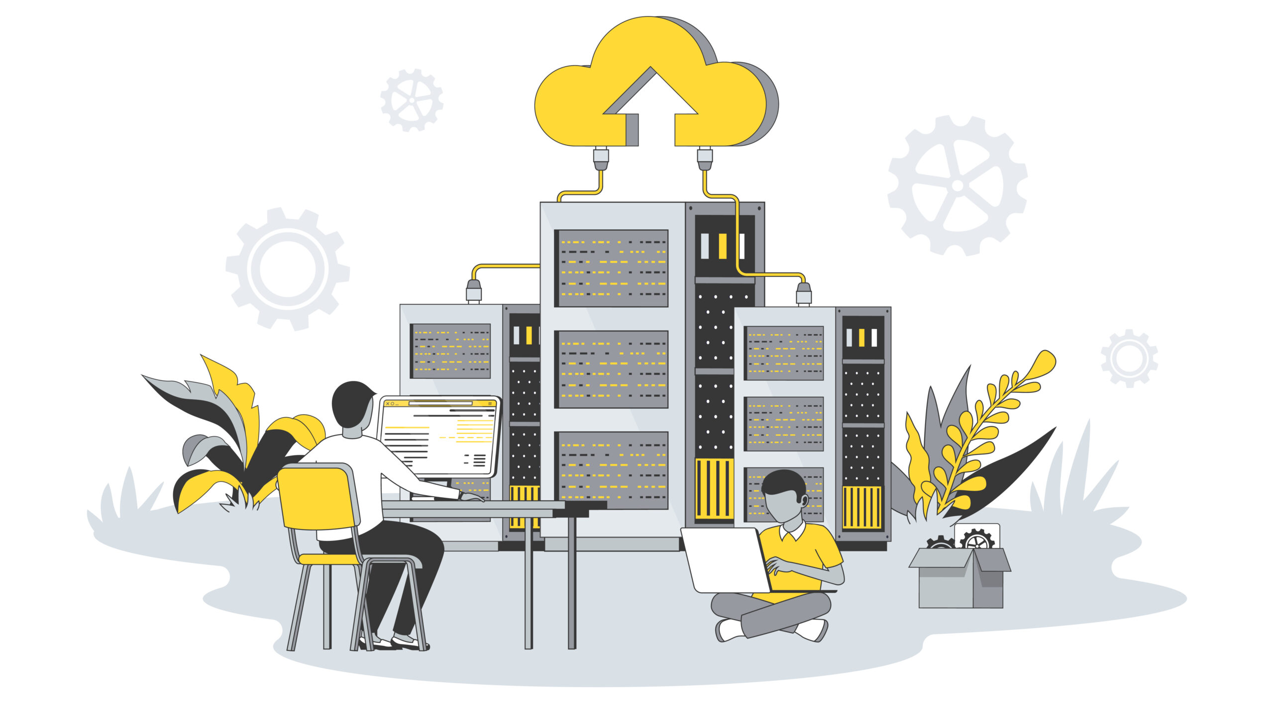 Affordable Web Hosting Company in India | Site2Host